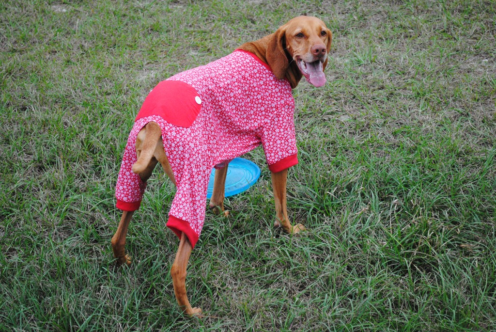 Sadie s Christmas Pajamas Peanut Butter Fingers Sadie s Christmas Pajamas Peanut Butter Fingers